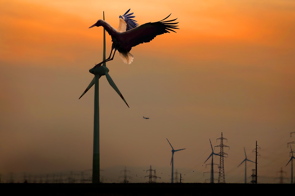 Natuur en Milieufederaties werken aan Natuurinclusieve Energietransitie ...