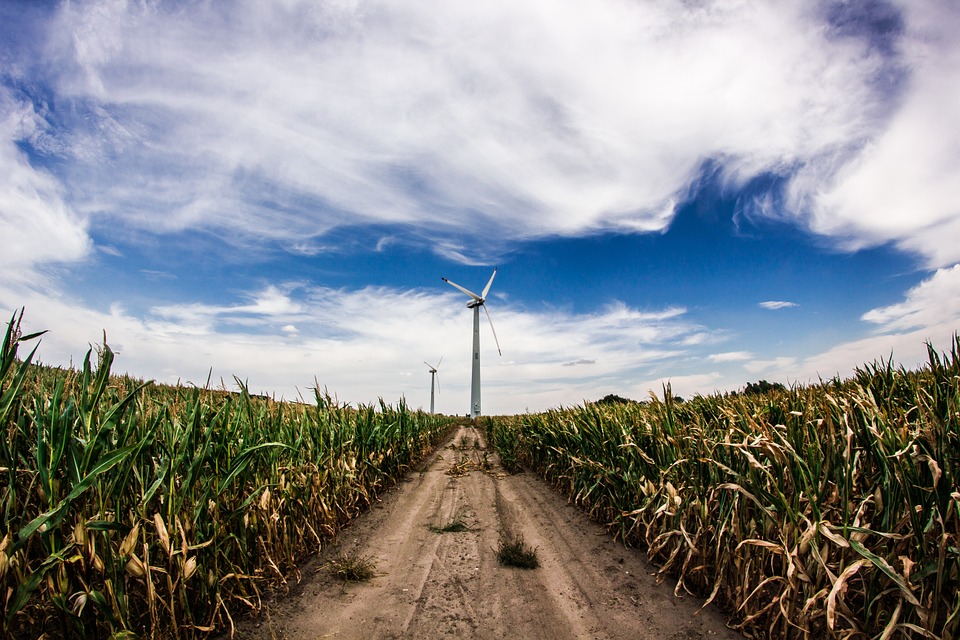 Factsheets Wind Op Land - Natuur en Milieufederaties